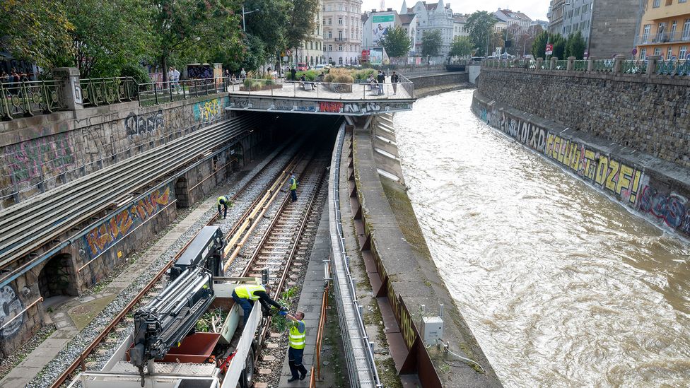 'Our plan worked': How Vienna prepared itself for a 5,000-year flood ...