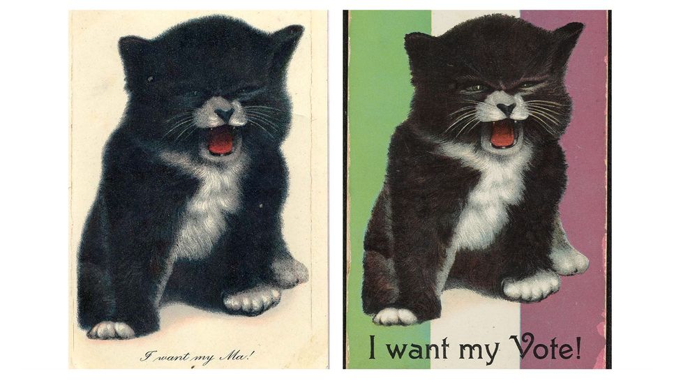 'Postcards are the email of their day': How cat memes went viral 100 ...