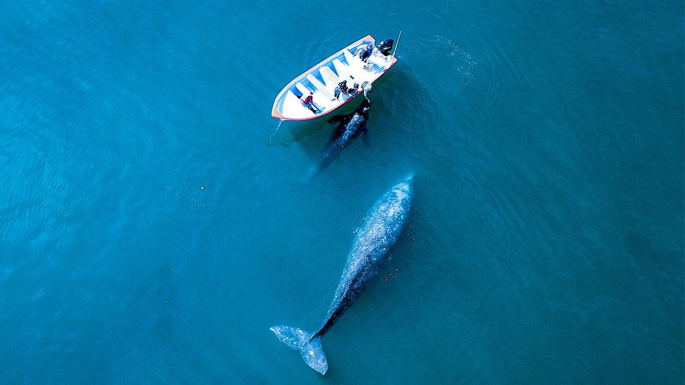Adventure & Experience - BBC Travel