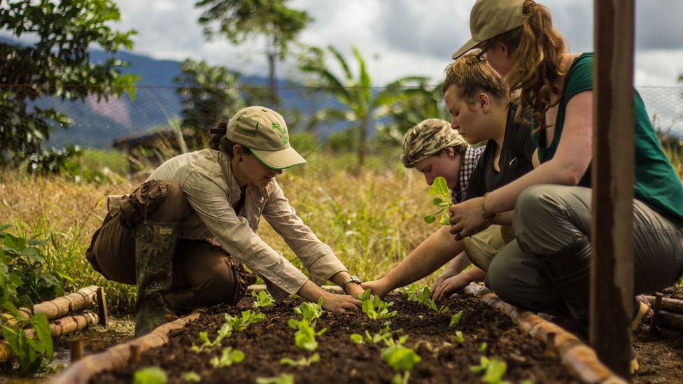 Booking your next holiday? Consider these six trailblazing travel firms ...