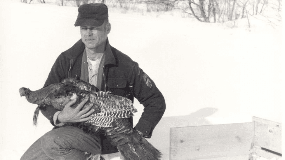 'One of the greatest conservation success stories': The 1969 mission to ...