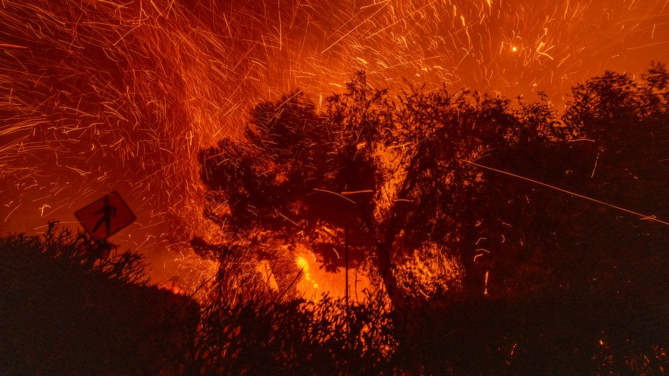 Five images that explain why the LA fires spread so fast - BBC Future