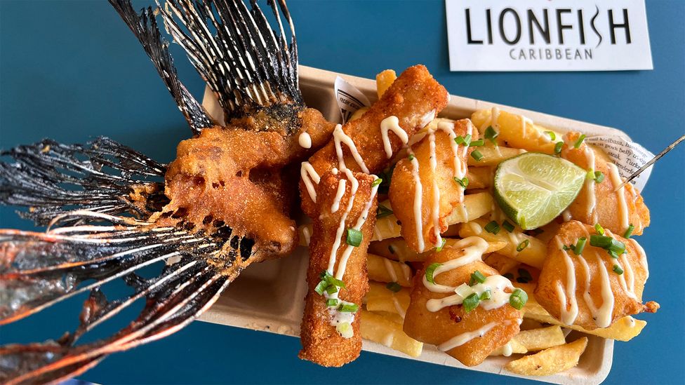 The fearless lionfish huntresses of the Caribbean - BBC Travel