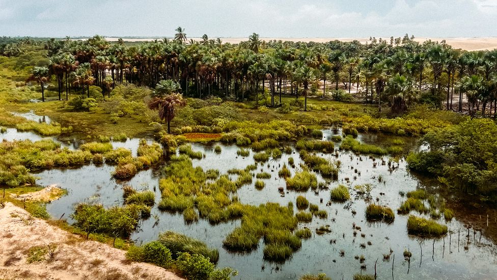 Brazil's lagoon-filled desert you can hike barefoot - BBC Travel