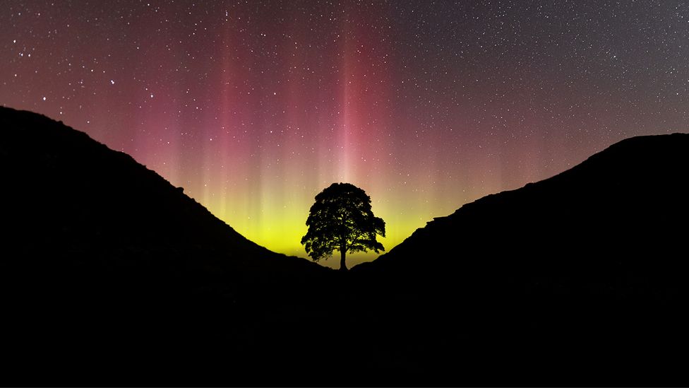 An aurora chaser's guide to the Northern Lights - BBC Travel