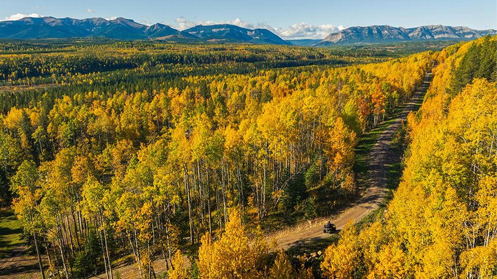 The 109km trail opening up the Canadian Rockies - BBC Travel