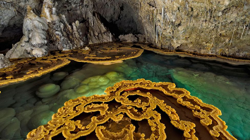 'Predators that just run in and grab, stab and kill': The deep cave ...