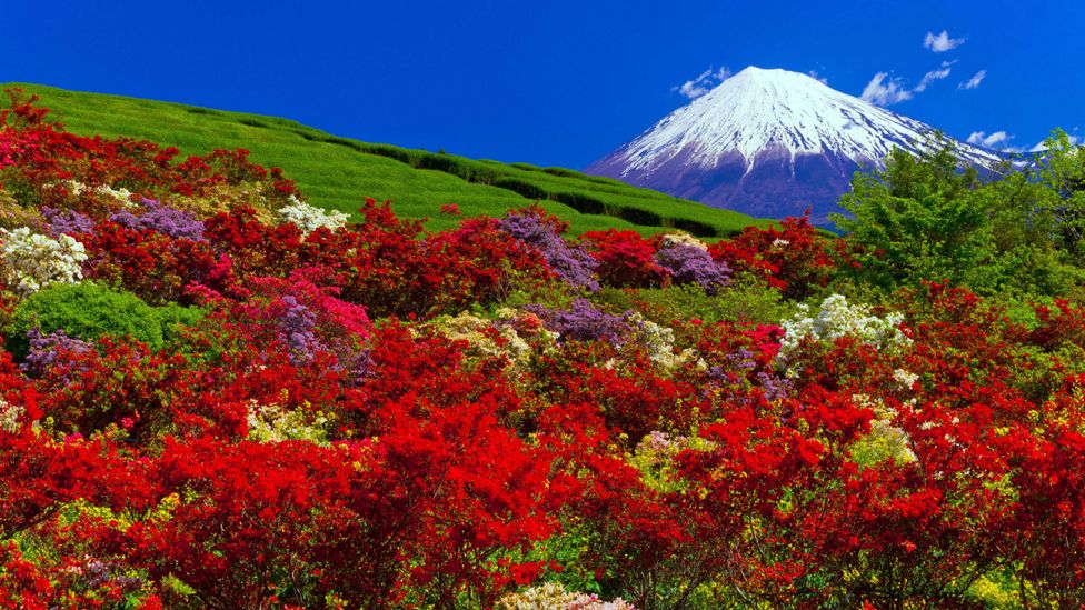 Japan - BBC Travel