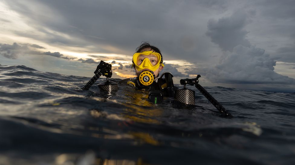 'The deep sea will come to me': The blackwater diver who photographs ...