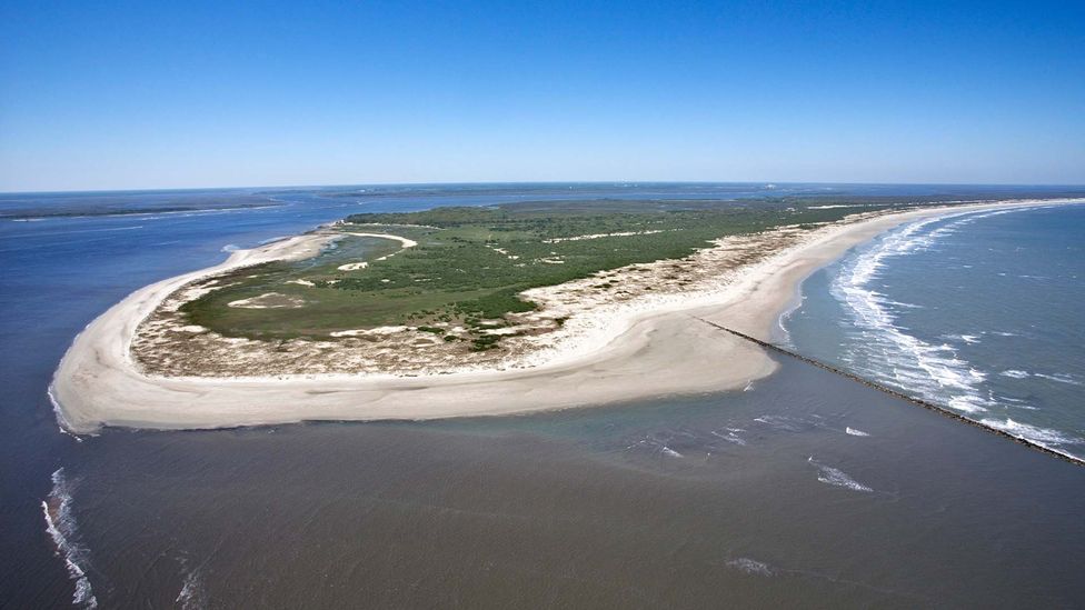 The snake-wrangling 84-year-old who lives on a remote barrier island ...